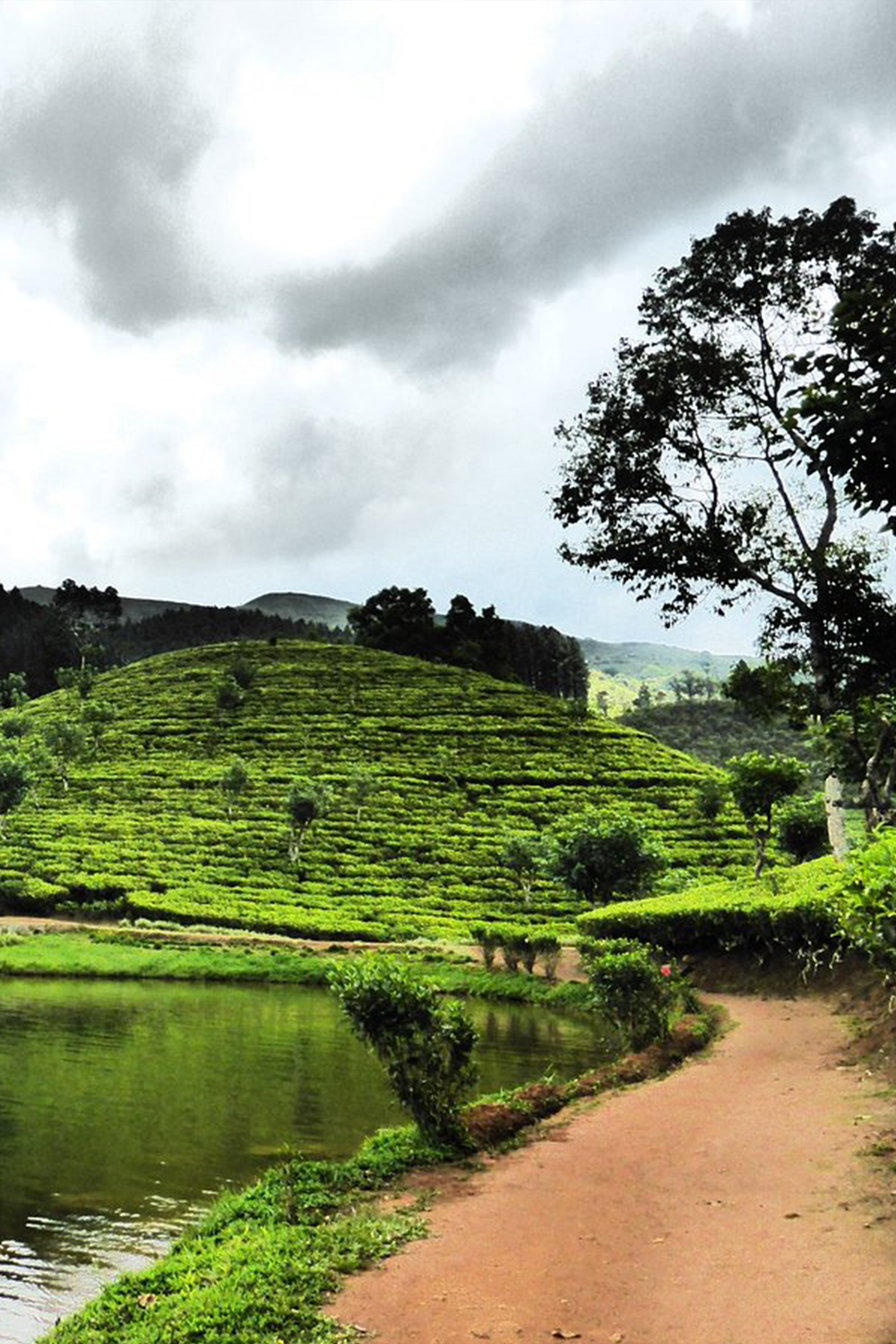 Tour Packages | Cycle Tours In Sri lanka