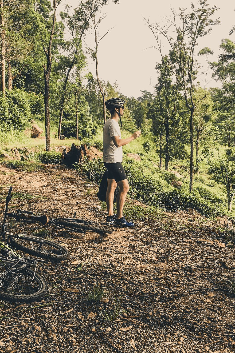 Tour Packages | Cycle Tours In Sri lanka